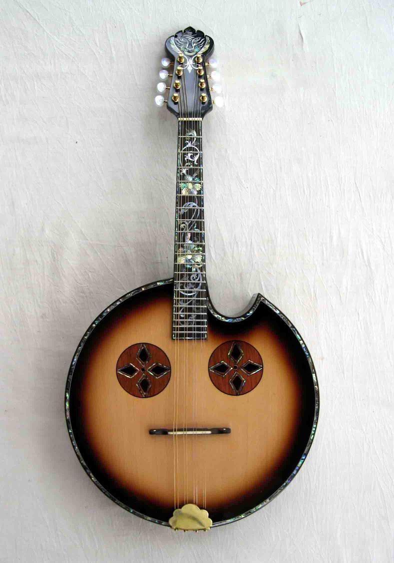 Has anyone built a wood-topped banjo? - Discussion Forums - Banjo Hangout